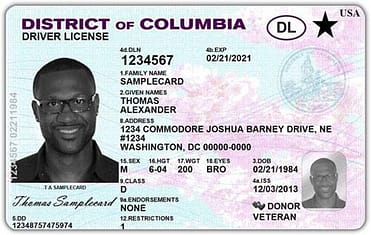 Foreign Drivers License